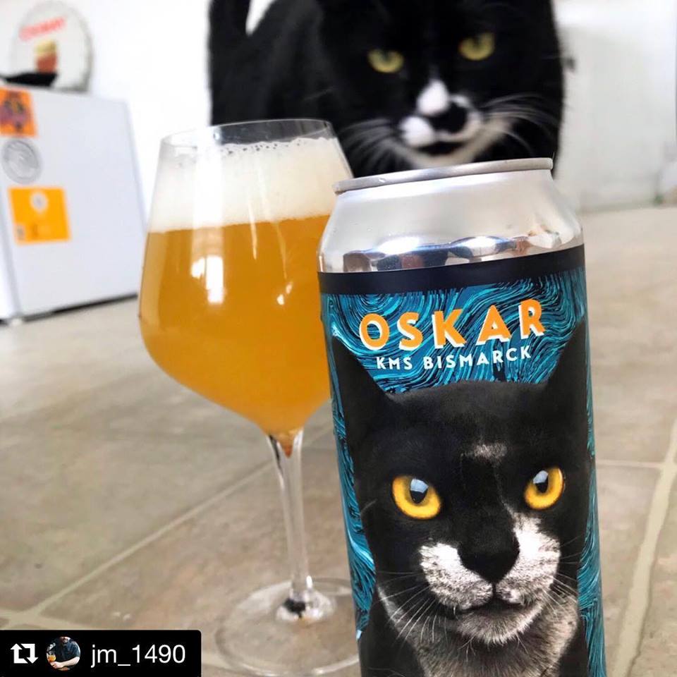 Des bières québécoises qui flashent pour les amoureux des chats - Petit ...