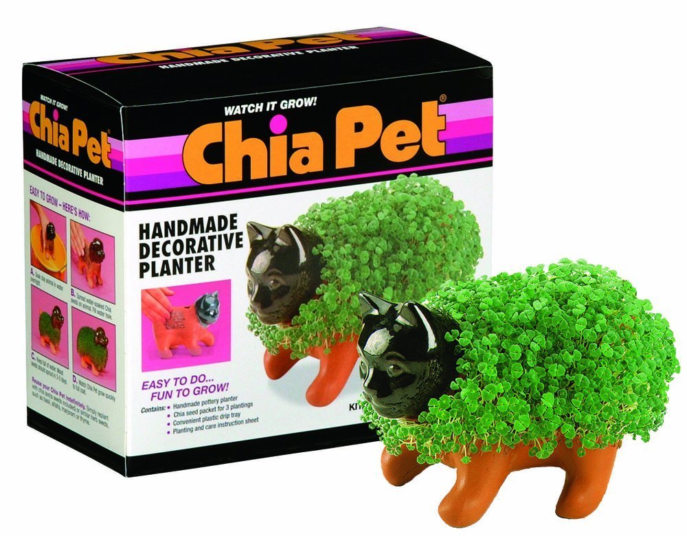 Les plus cool versions de Chia Pet que tu peux te procurer - Petit ...